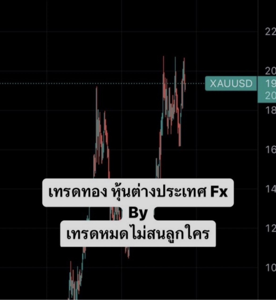 BFT_100to1000 - Exness Social Trading